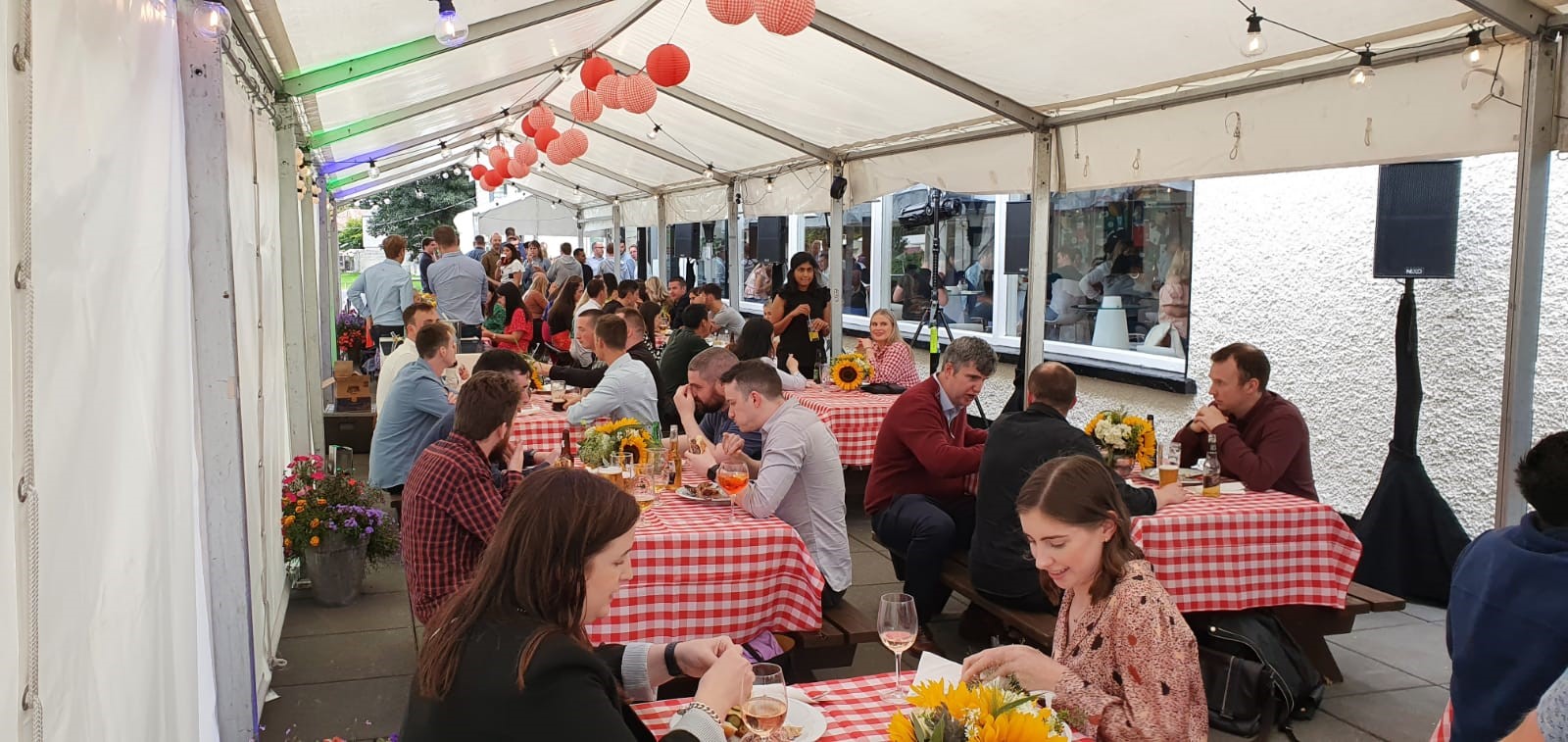 Member's Bar - Old Belvedere RFC